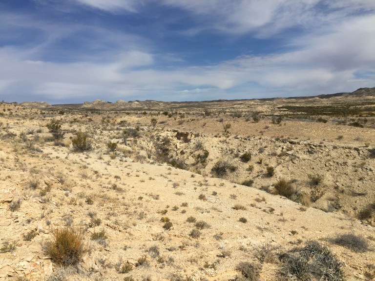 5 Facts About the Chihuahuan Desert – Explore Texas
