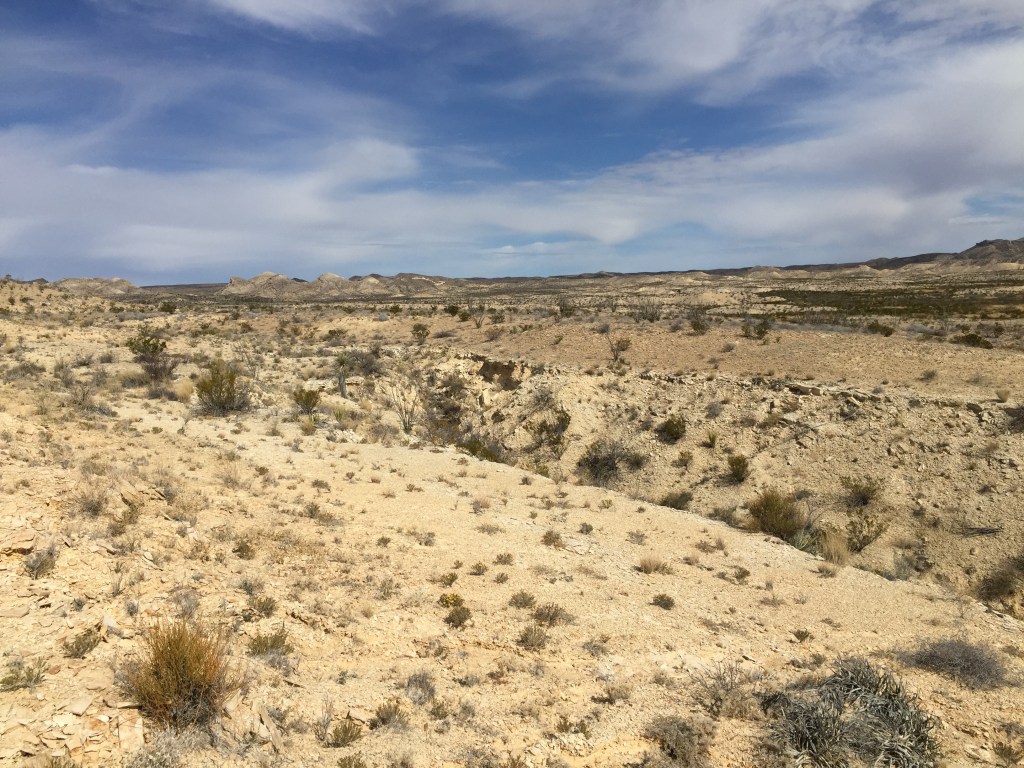 5 Facts About the Chihuahuan Desert – Explore Texas